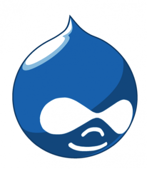 Drupal Archives - Red Bridge Internet